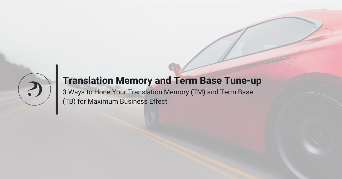 Translation Memory and Term Base Tune-up